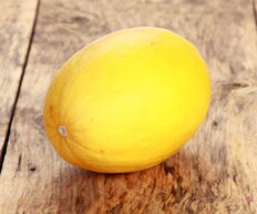 Honingmeloen | Allegrow