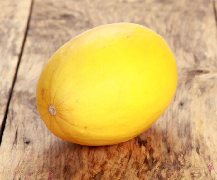 Honingmeloen | Allegrow