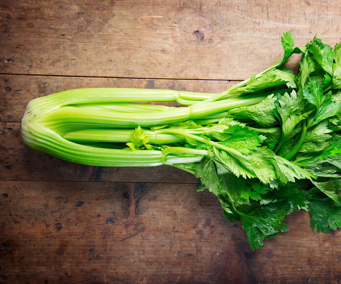 Groene selder | Allegrow