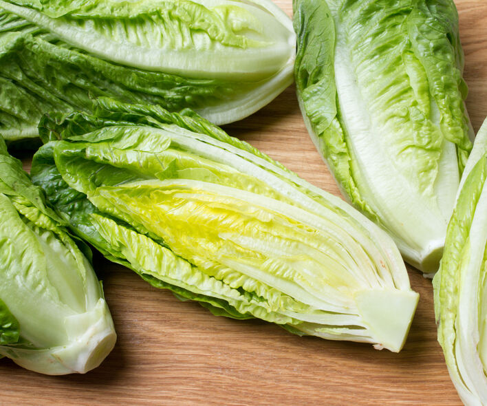 Romeinse sla (Bindsla) | Allegrow