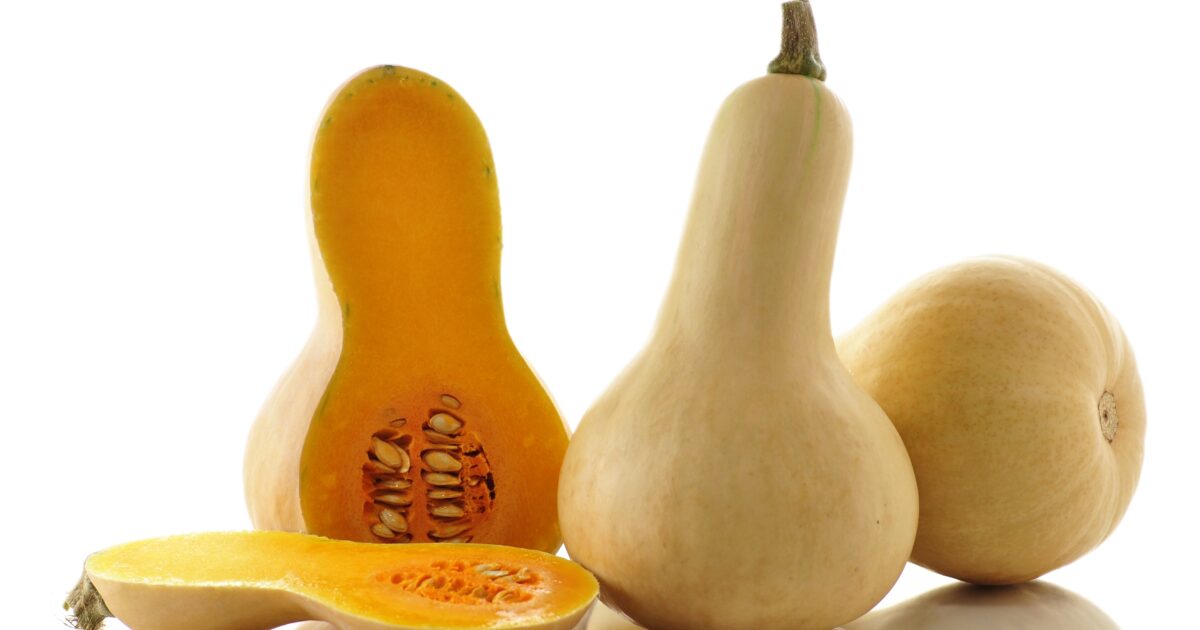 Butternut pompoen | Allegrow