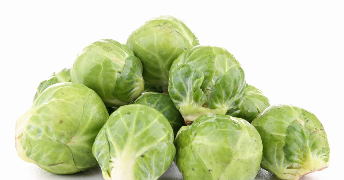 Spruitkool | Allegrow